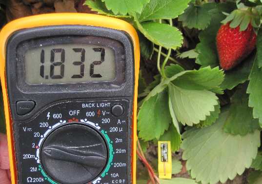 Digital Leaf Sensor Meter